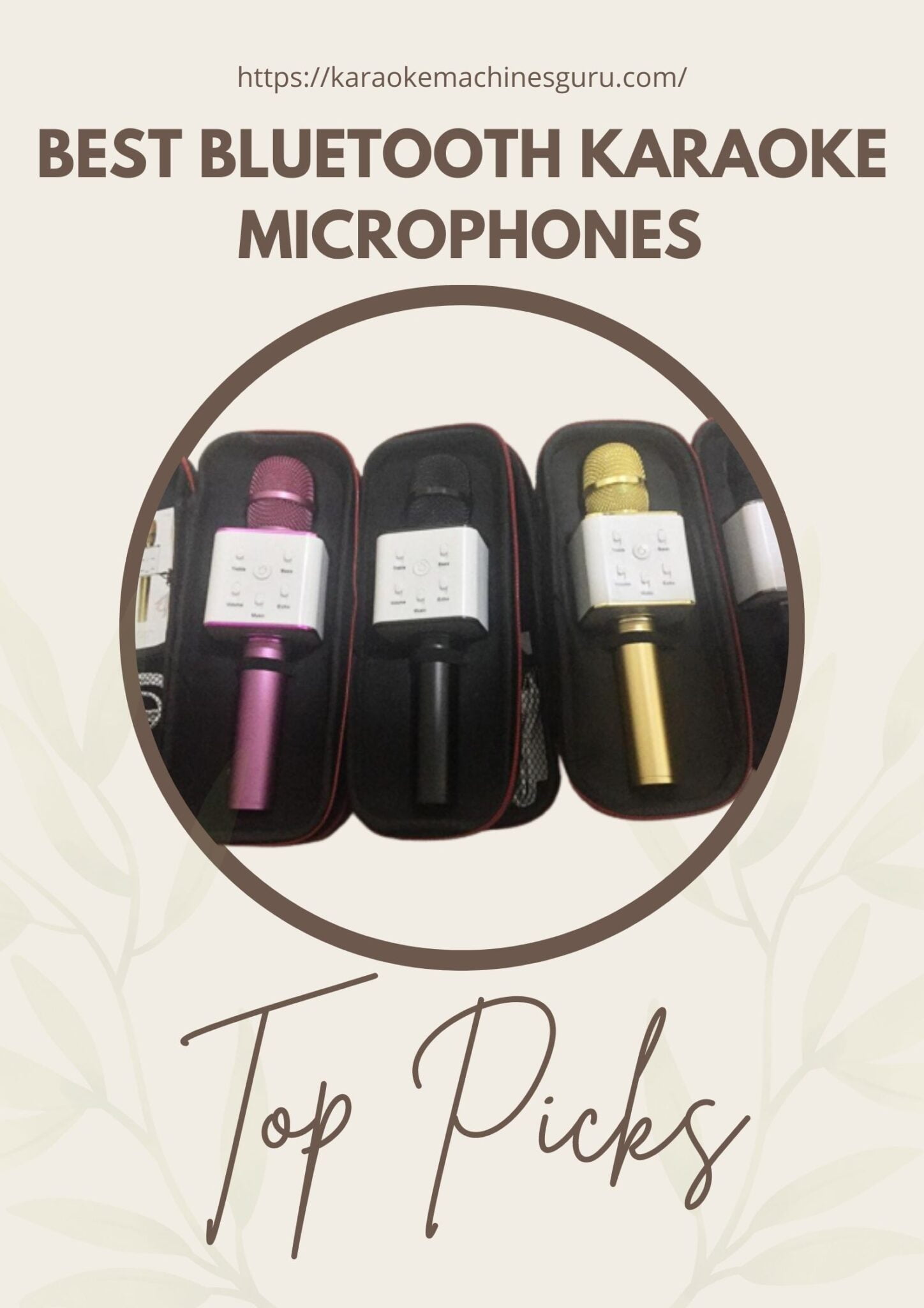 Best Bluetooth Karaoke Microphones (For Home and Professional Use)